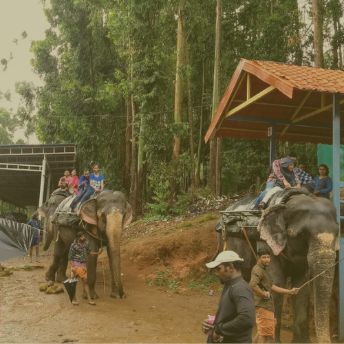 Best resorts in Munnar | Top resorts in Munnar