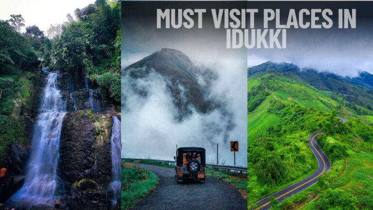 Top Resorts in Munnar | Best resorts in Munnar